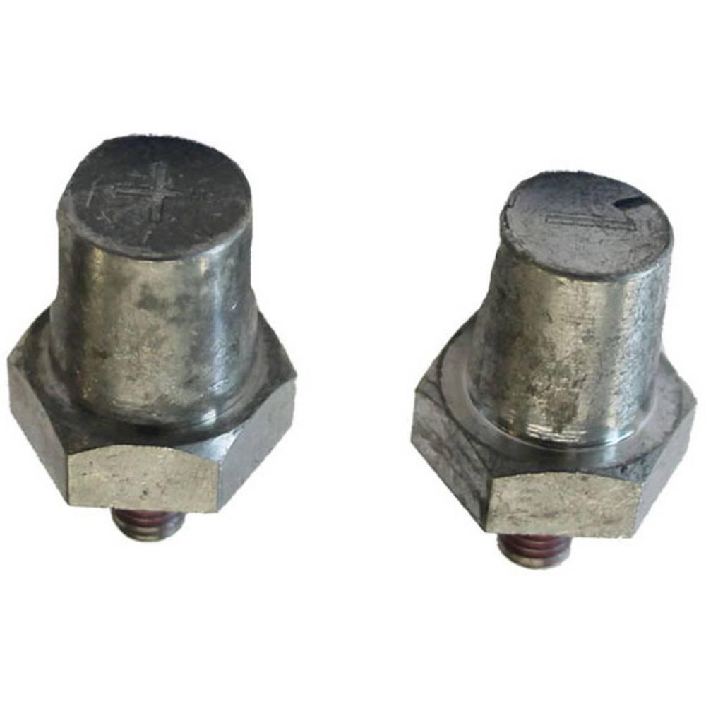 Phaesun Poleadapter Basic M8 | online kaufen - MANOR