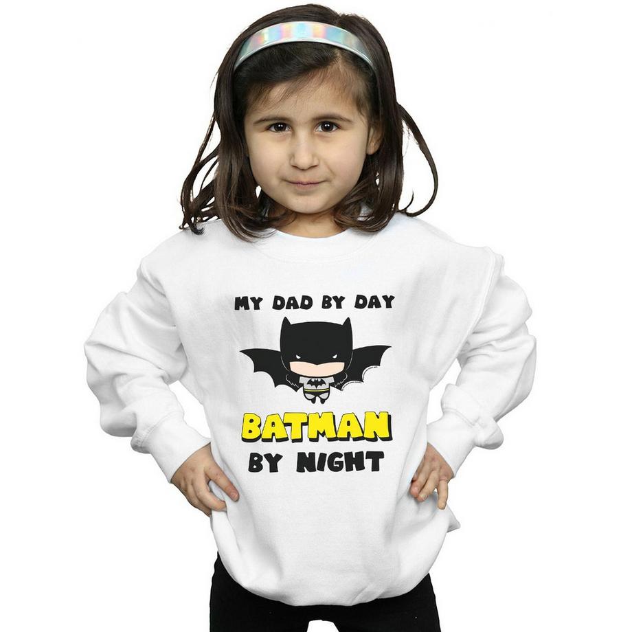 DC COMICS Sweat motiftyle Batman | acheter en ligne - MANOR
