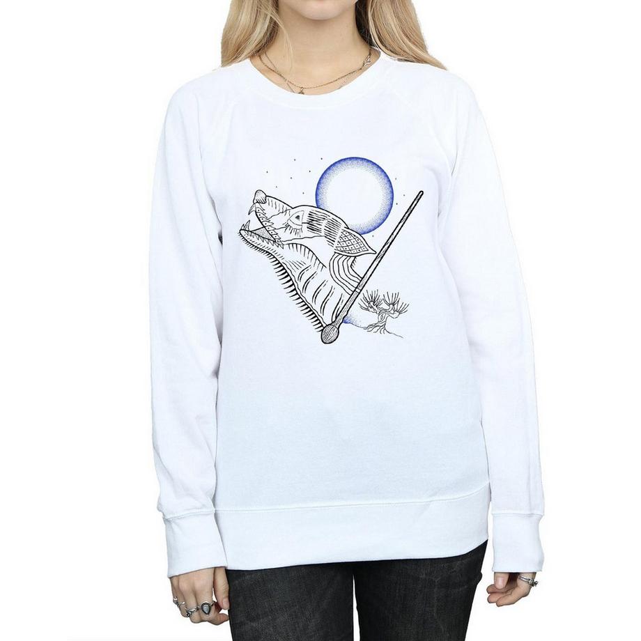 HARRY-POTTER Werwolf Mond Sweatshirt | online kaufen - MANOR