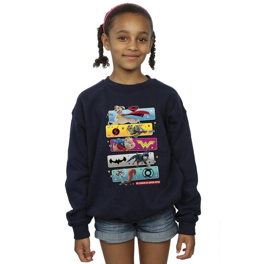 DC COMICS Sweat DC LEAGUE OF SUPERPETS | acheter en ligne - MANOR