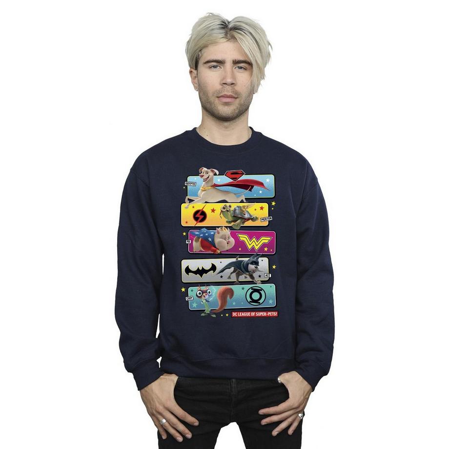 DC COMICS DC League Of Super-Pets Sweatshirt | online kaufen - MANOR