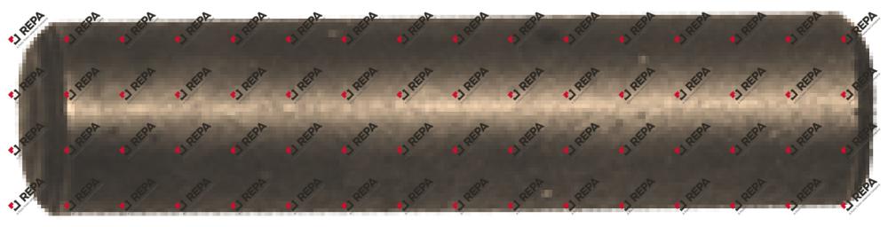 KitchenAid 5KSM150 | horecatiger