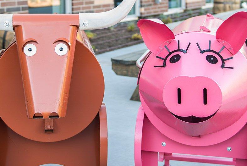 Traeger Pink Lil' Pig Pellet Grill - Traeger Grills®