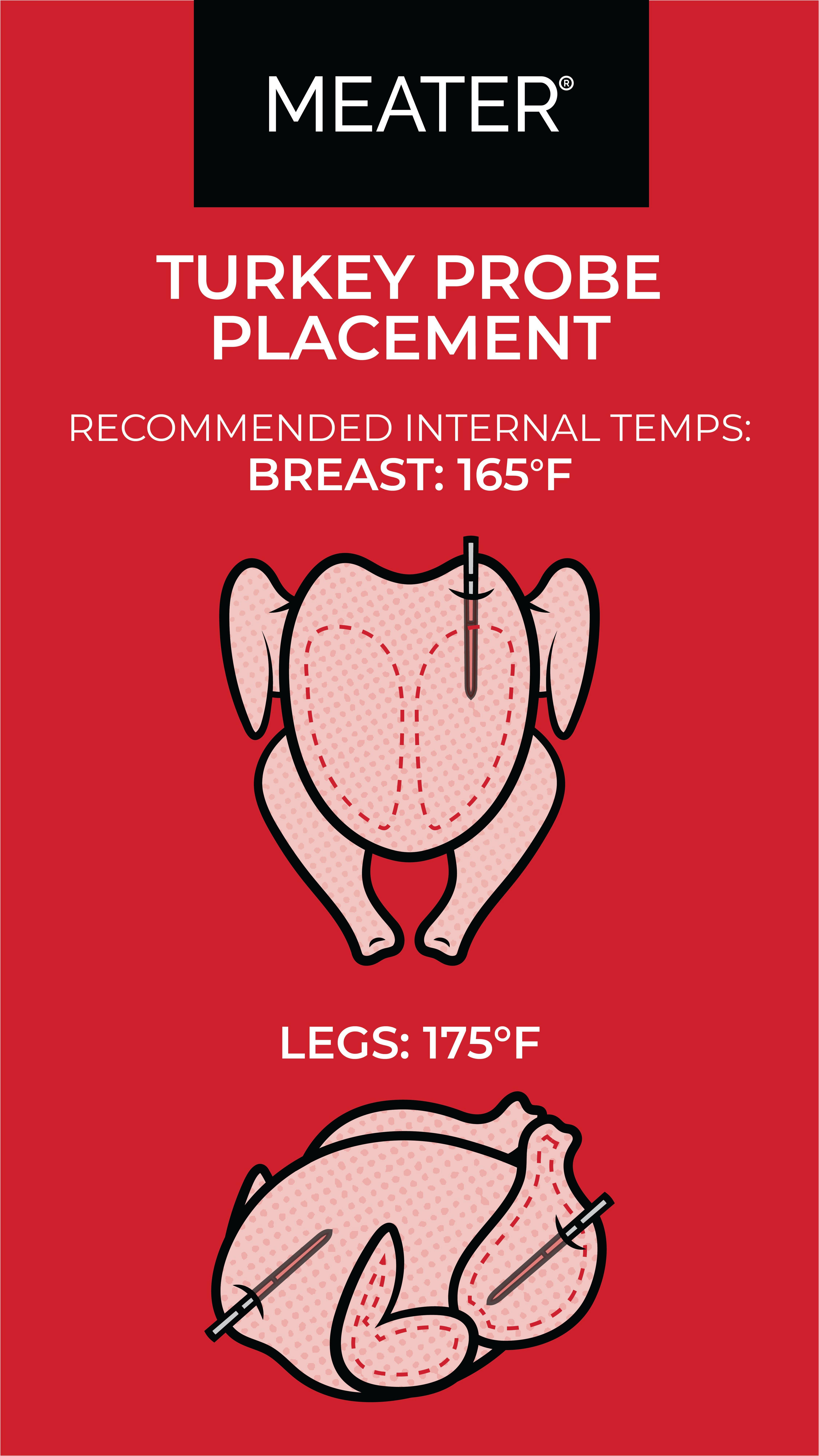 Where To Put a Thermometer In a Turkey | MEATER®