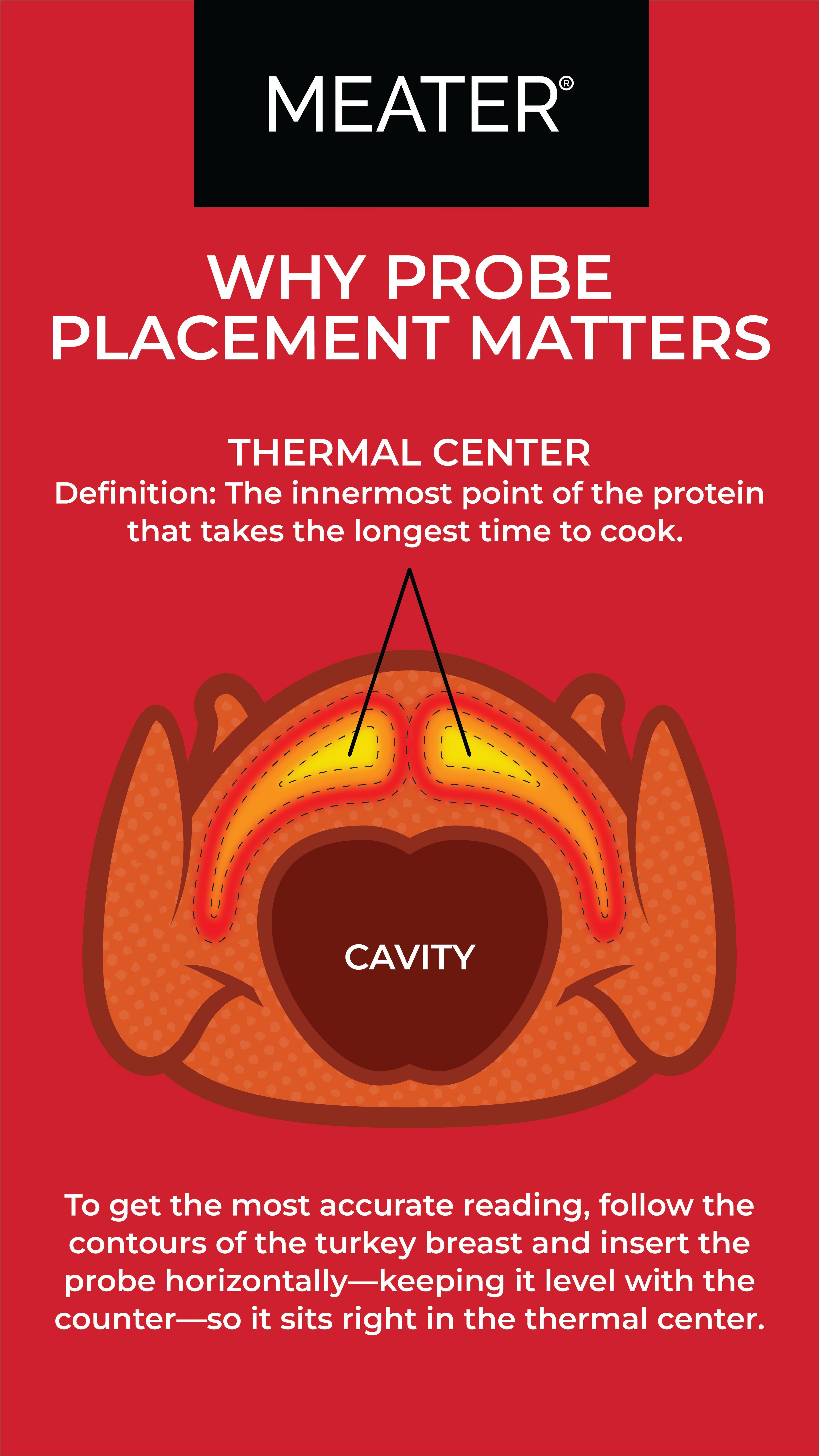 Where To Put a Thermometer In a Turkey | MEATER®