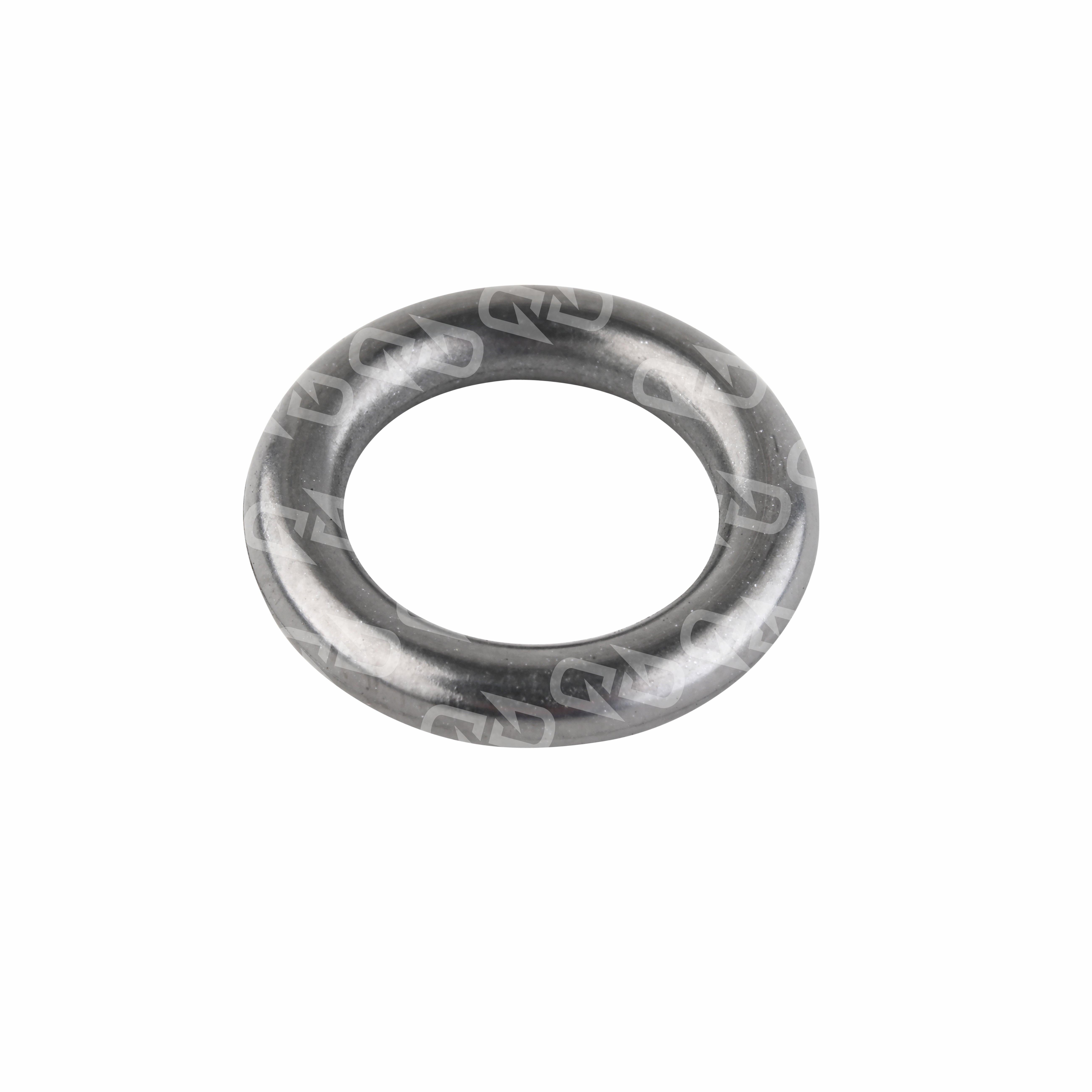 Detroit Fuel Injector Holder Seal Ring DDE A5419970645 | Diesel Dash